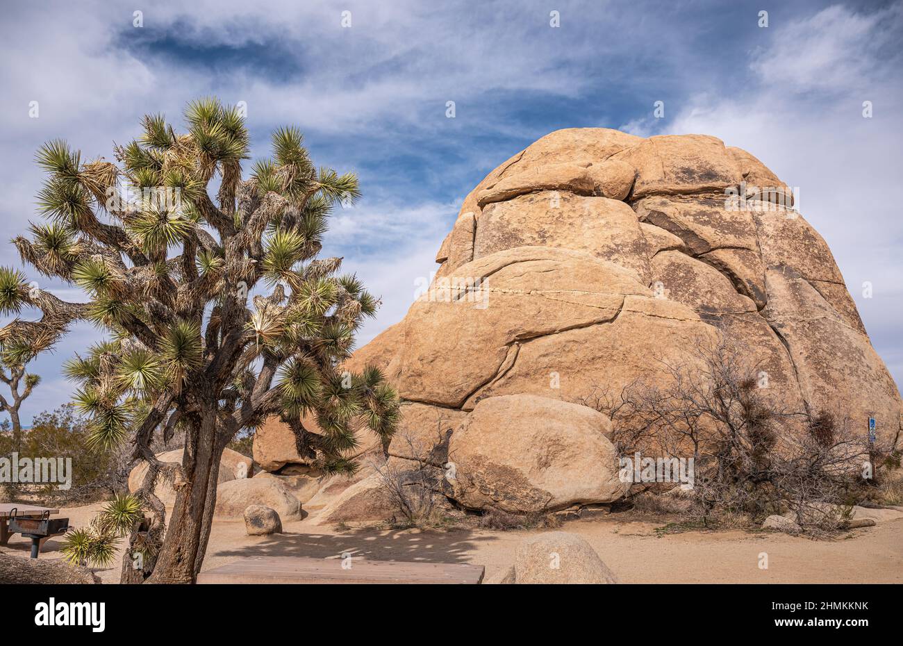 Joshua Tree National Park, CA, USA - January 31, 2022: Landscape with ...