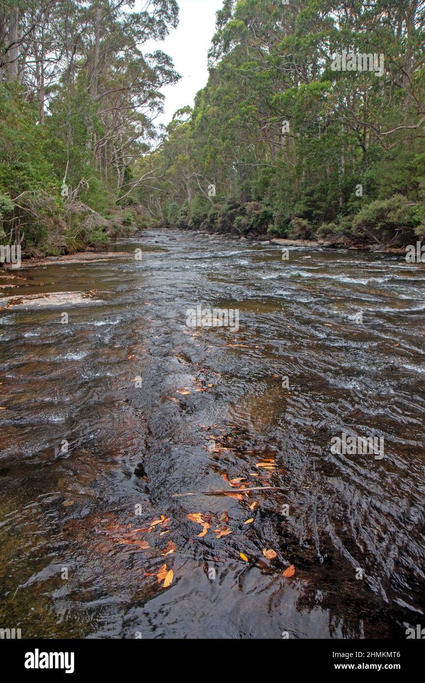 Maydena tasmania hi-res stock photography and images - Alamy
