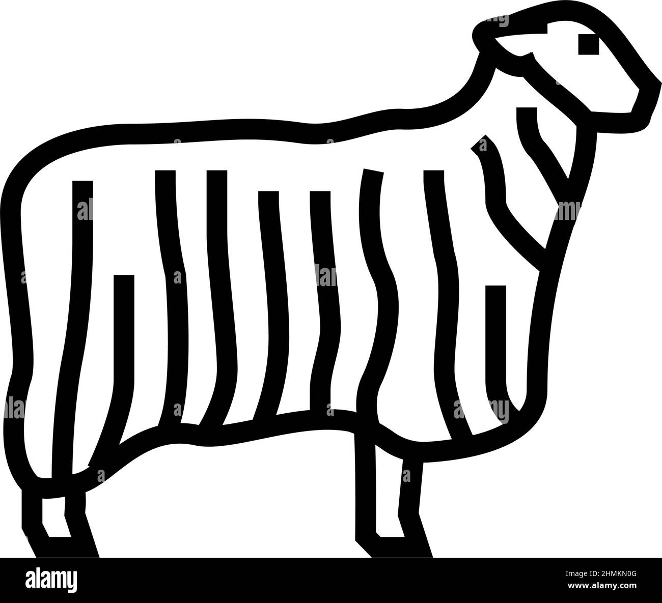 13 teeswater sheep line icon vector illustration Stock Vector Image ...