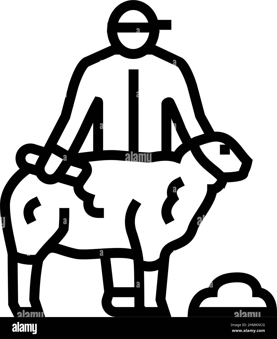 shear sheep line icon vector illustration Stock Vector Image & Art - Alamy