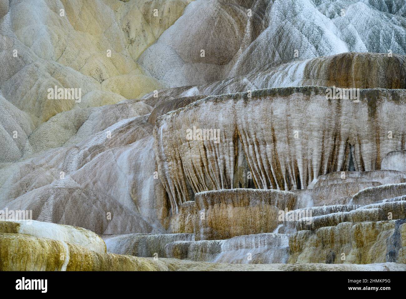 Travertine terraces at Mammoth Hot Springs in Yellowstone National Park ...
