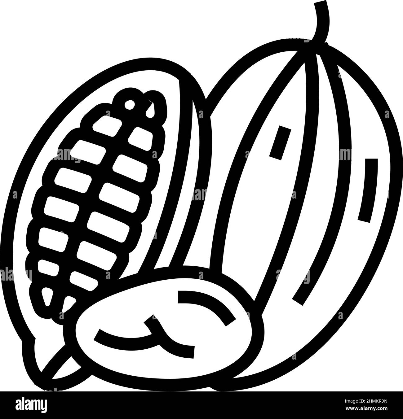 cocoa nut line icon vector illustration Stock Vector Image & Art - Alamy