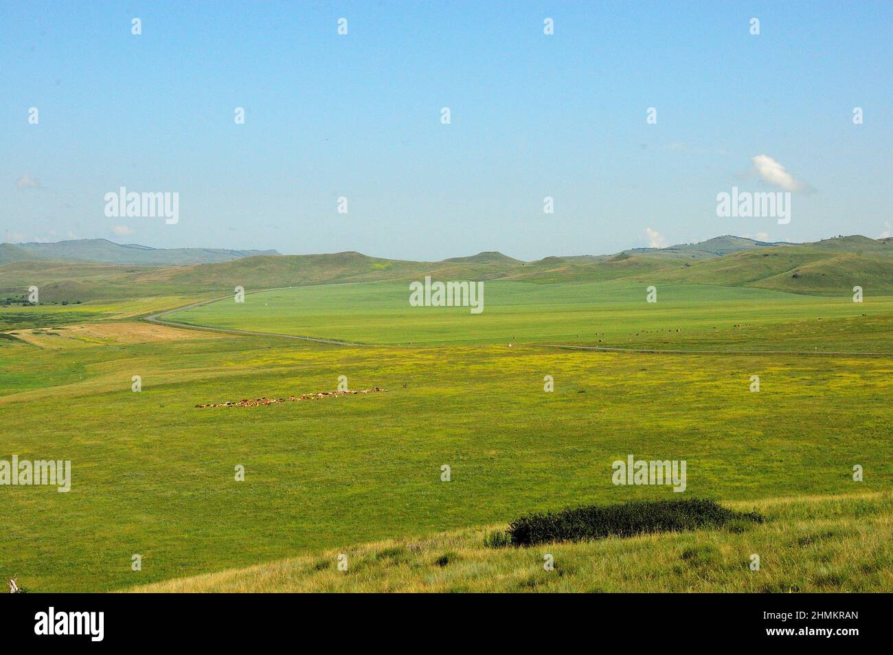 View from above on the endless hilly steppe and the road passing ...