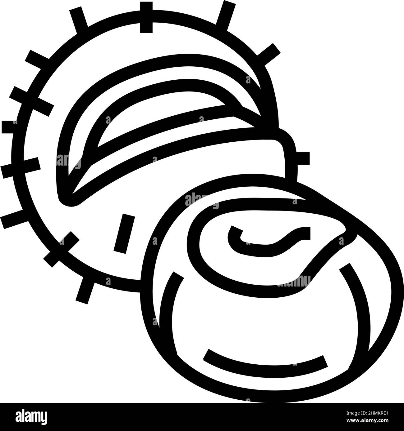 chestnut nut line icon vector illustration Stock Vector Image & Art - Alamy