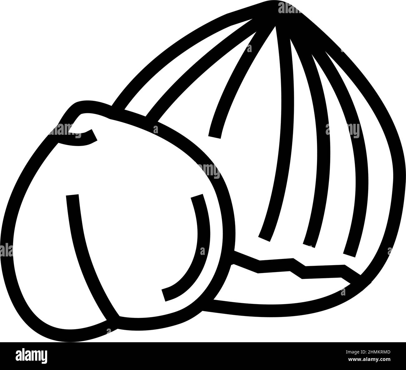 hazelnut nut line icon vector illustration Stock Vector Image & Art - Alamy
