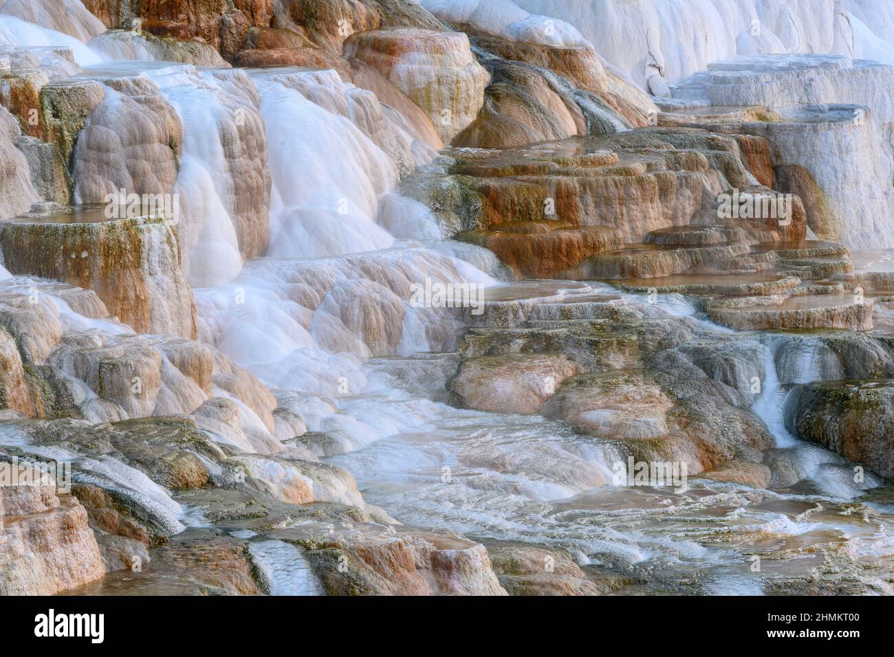 Travertine formations of Canary Spring at Upper Mammoth Terraces in ...