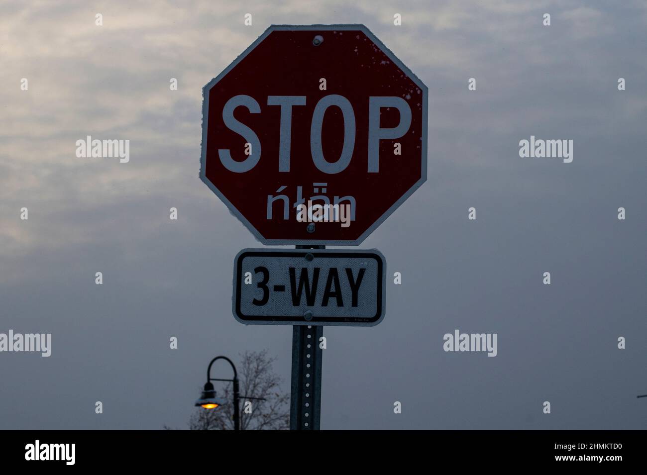 Bilingual stop sign in Whitehorse, Yukon, Canada Stock Photo - Alamy