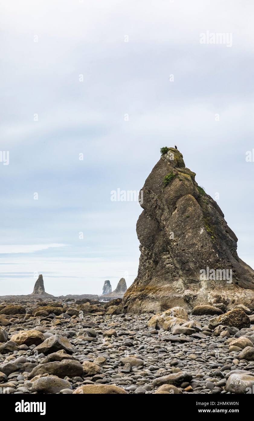 Tidal beaches hi-res stock photography and images - Alamy