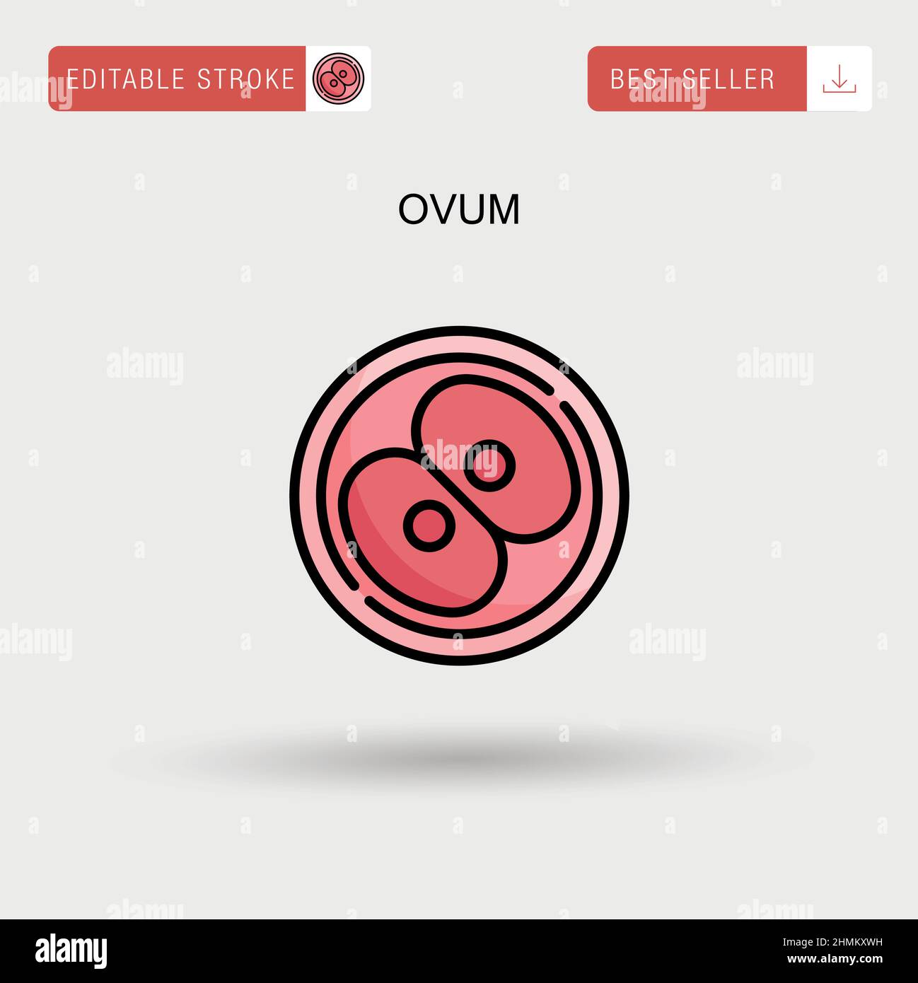 Ovum Simple vector icon Stock Vector Image & Art - Alamy