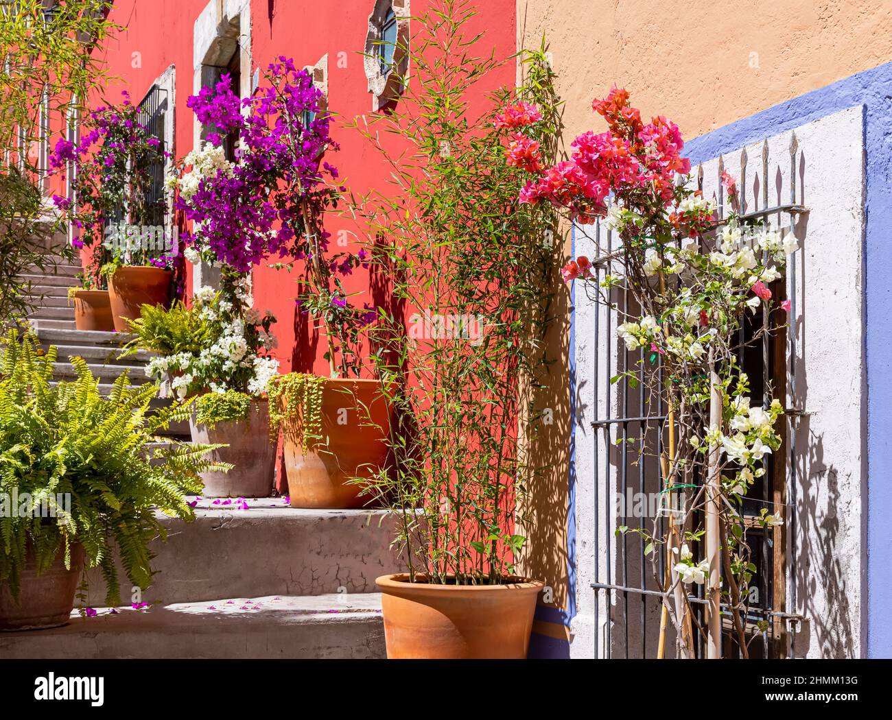 Durango, Victoria de Durango colonial and colorful historic city center ...