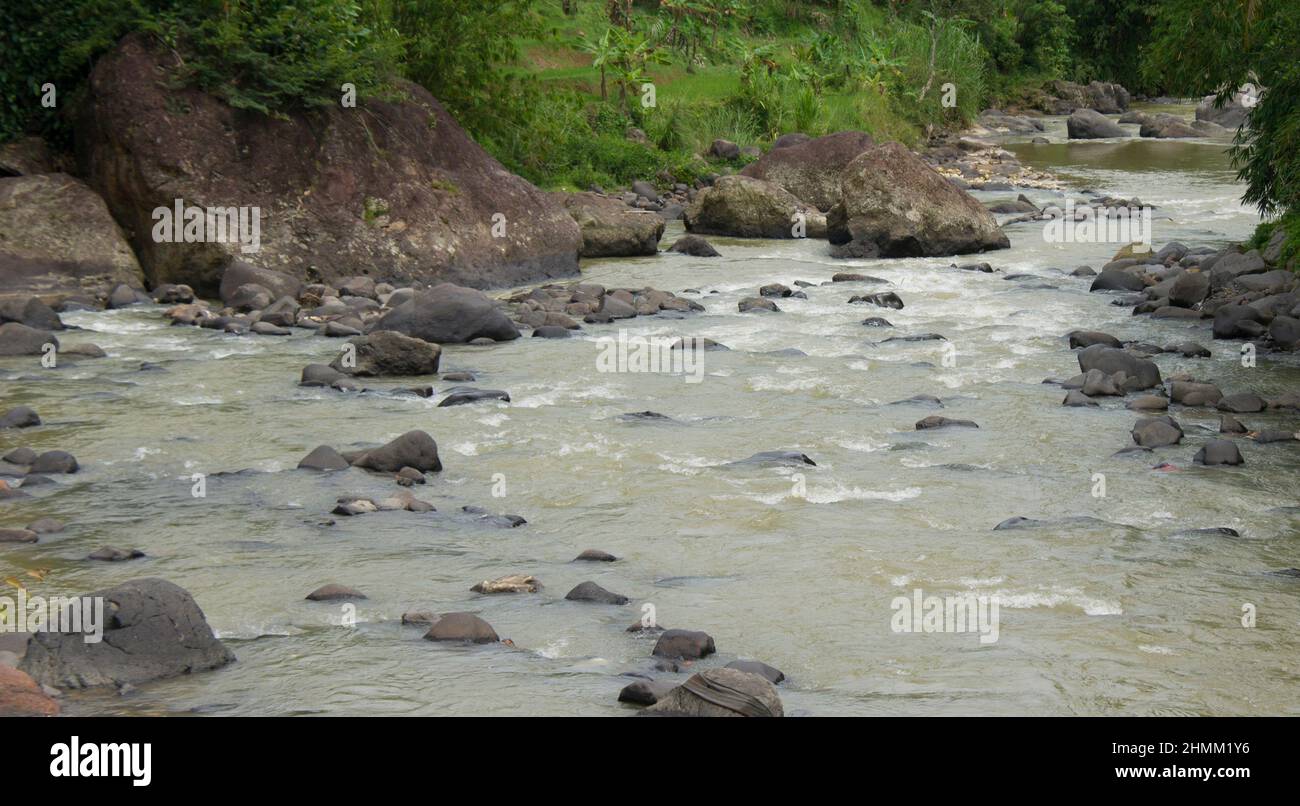 Cikaniki hi-res stock photography and images - Alamy