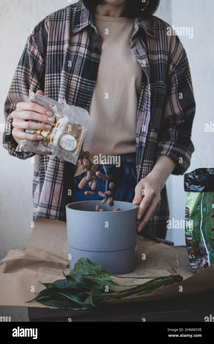 A woman is throwing a drainage into pot for preparing planting a young ...