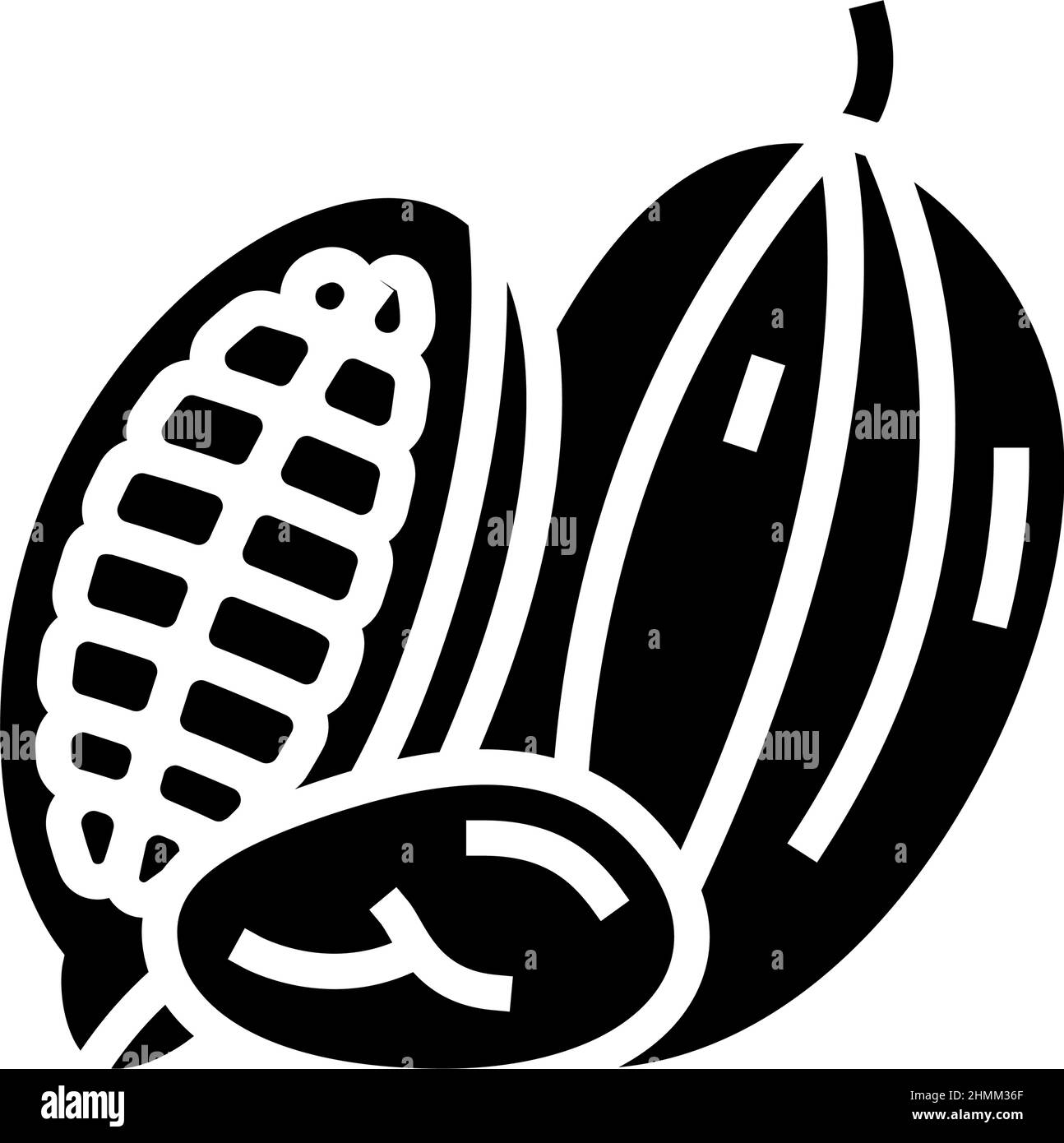 cocoa nut glyph icon vector illustration Stock Vector Image & Art - Alamy
