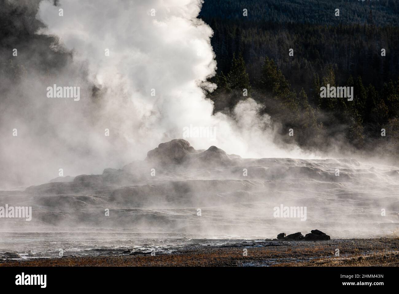 Close focus on exploding smoke of old Faithful, famous geyser of ...