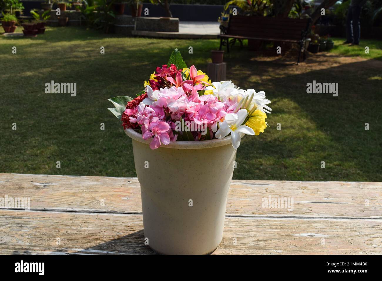 Multicolor Flowers different types of colours and flowers in water ...