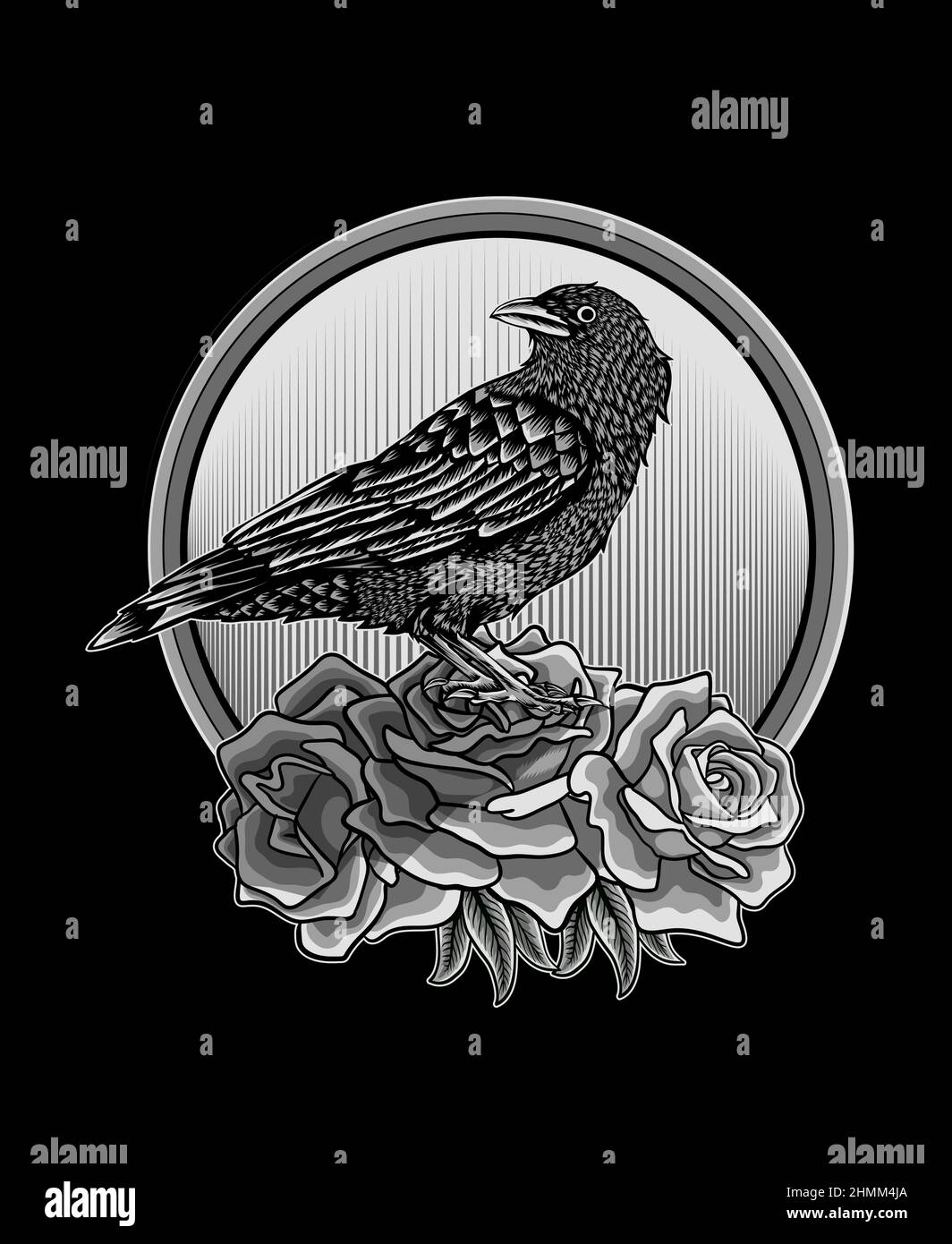 illustration crow bird with rose flower Stock Vector Image & Art - Alamy