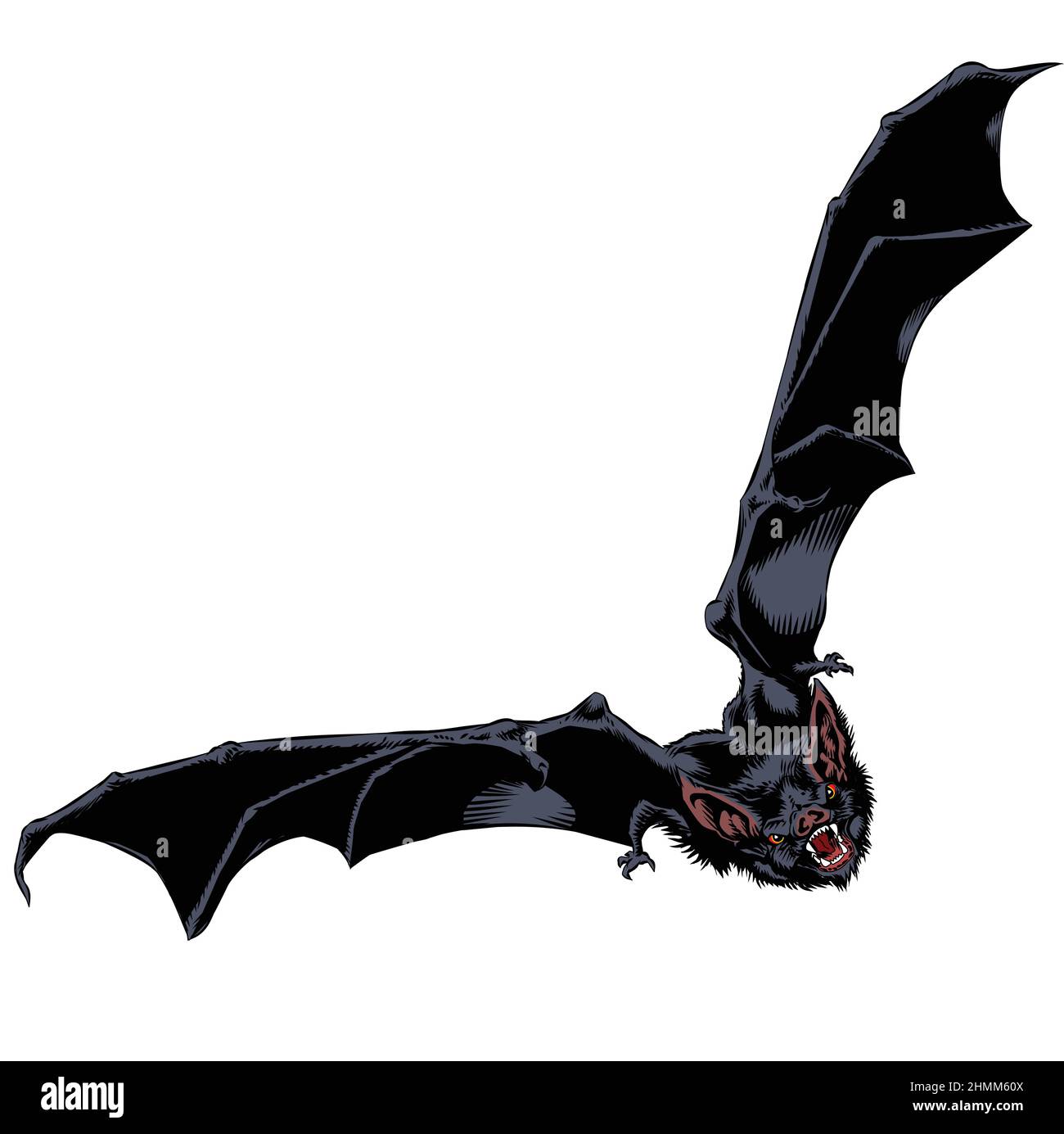 Bat Vector Illustration Stock Vector Image & Art - Alamy