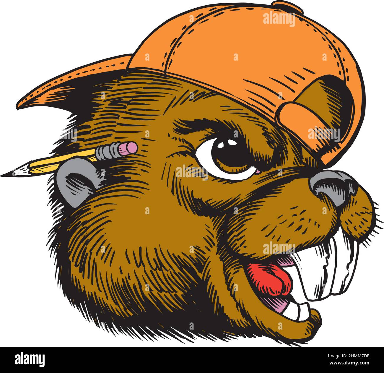 Beaver Mascot Head Tough Vector Illustration Stock Vector Image & Art ...