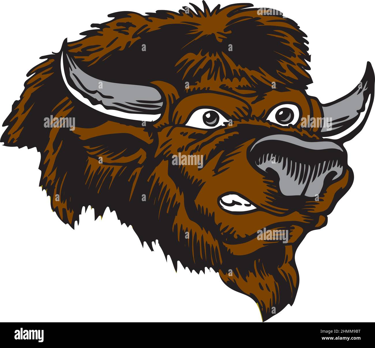 Bison Face Vector