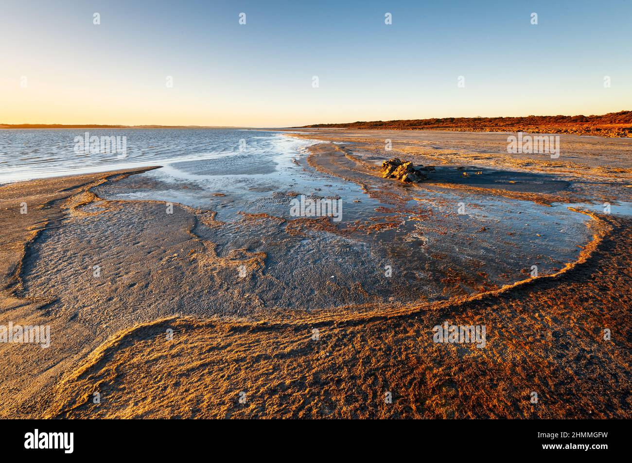 Coorong wetlands hi-res stock photography and images - Alamy