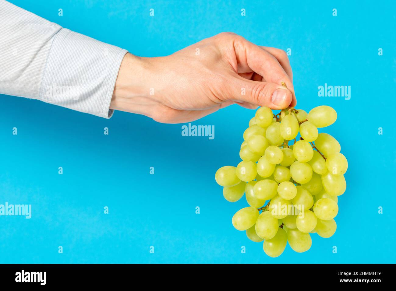Bunch of grapes in the hand. Hand Picked ripe grapes close up. Green ...