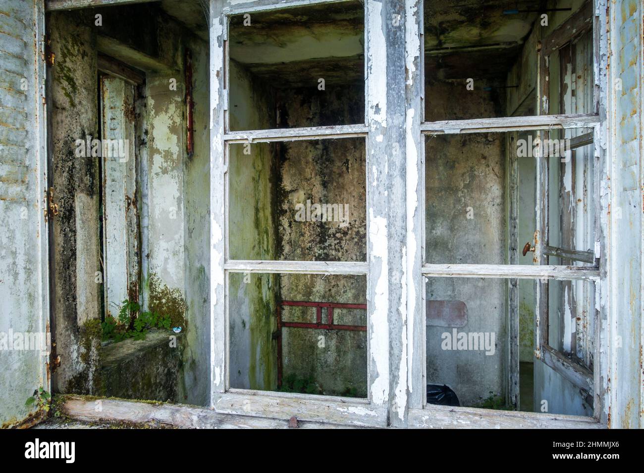 Old dirty abandoned house in a forest Stock Photo - Alamy