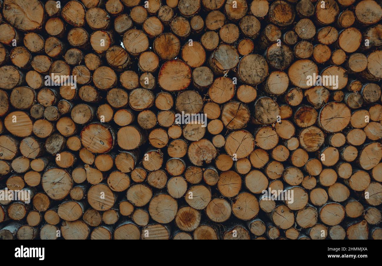 Stack of tree trunks. Texture background wallpaper Stock Photo - Alamy