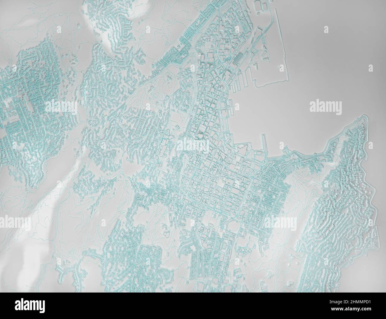 simplified map of the city of Wellington aerial view. 3d rendering ...