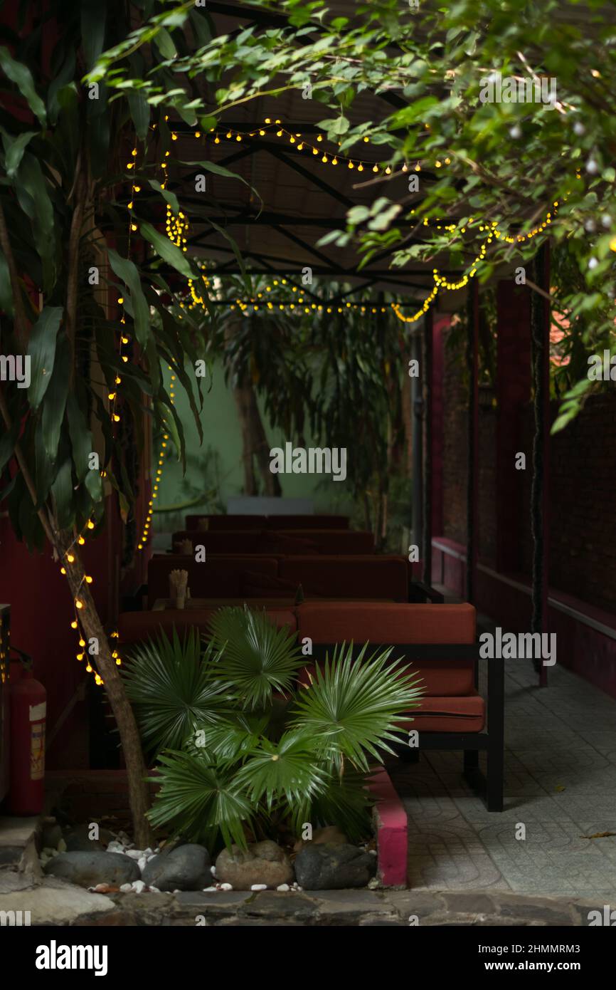 Eco cafe with green plants and palm trees. Green branches and leaves ...
