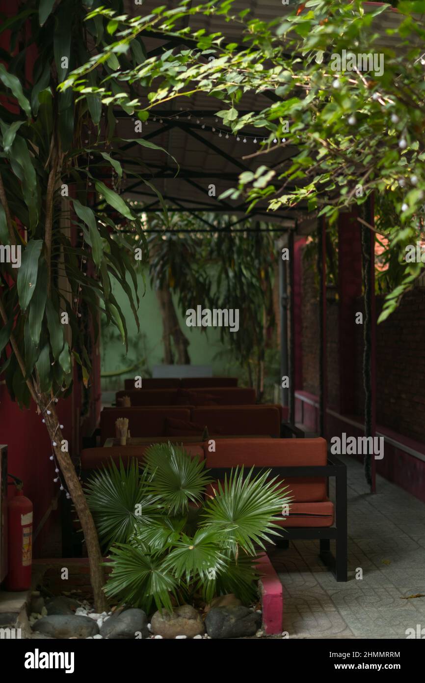 Eco cafe with green plants and palm trees. Green branches and leaves ...