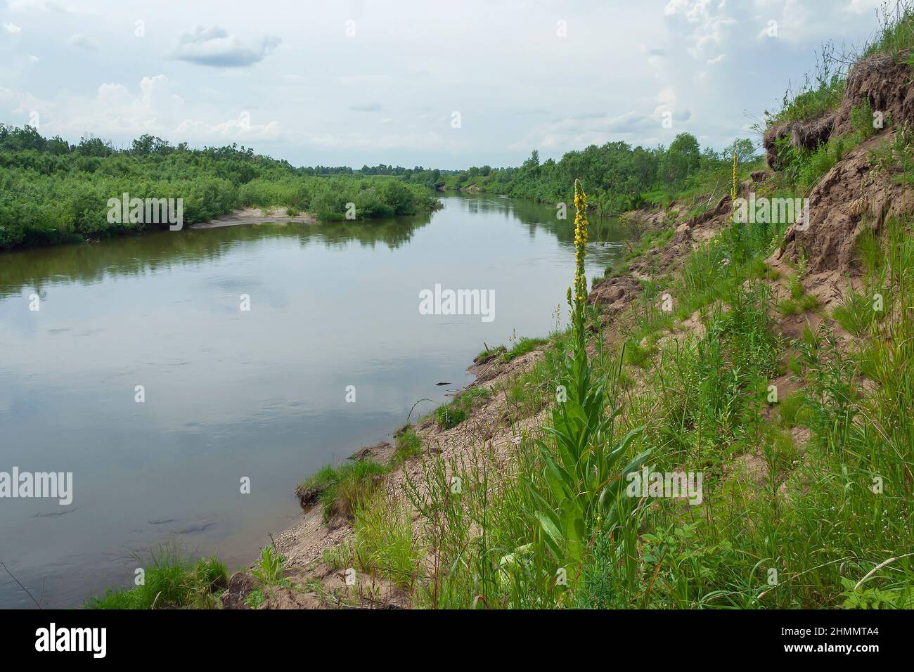 Steep clay bank of the Yaya River, Kemerovo region-Kuzbass Stock Photo ...