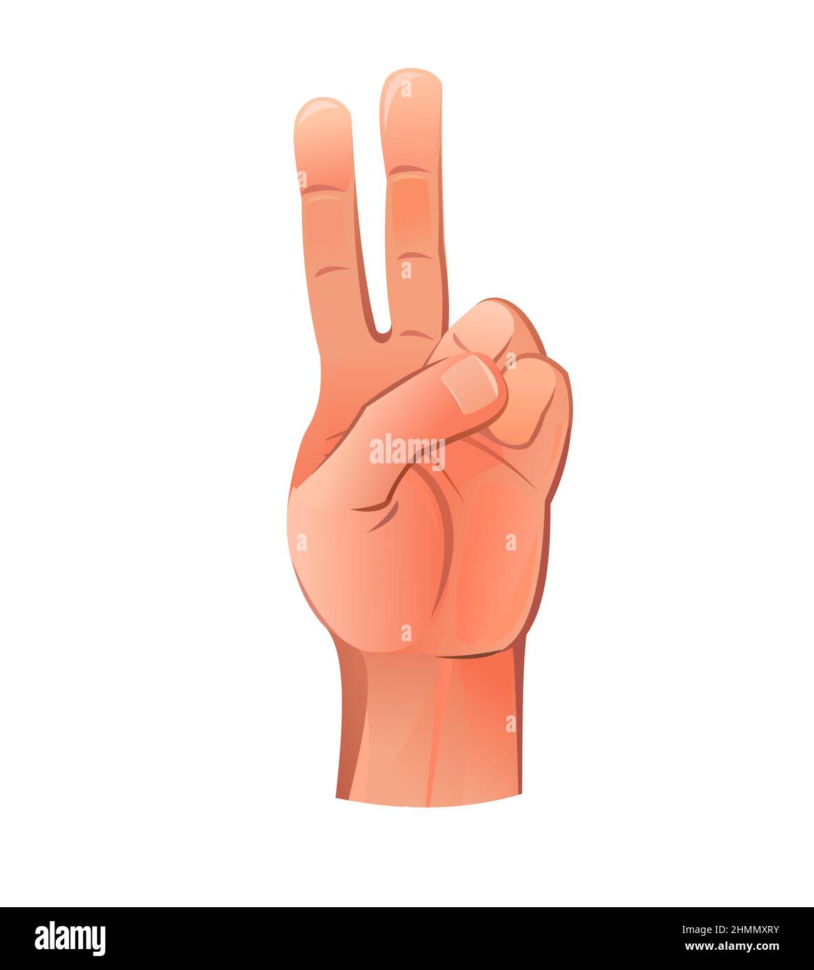 Palm of hand raised up with two finger. Object isolated on white ...