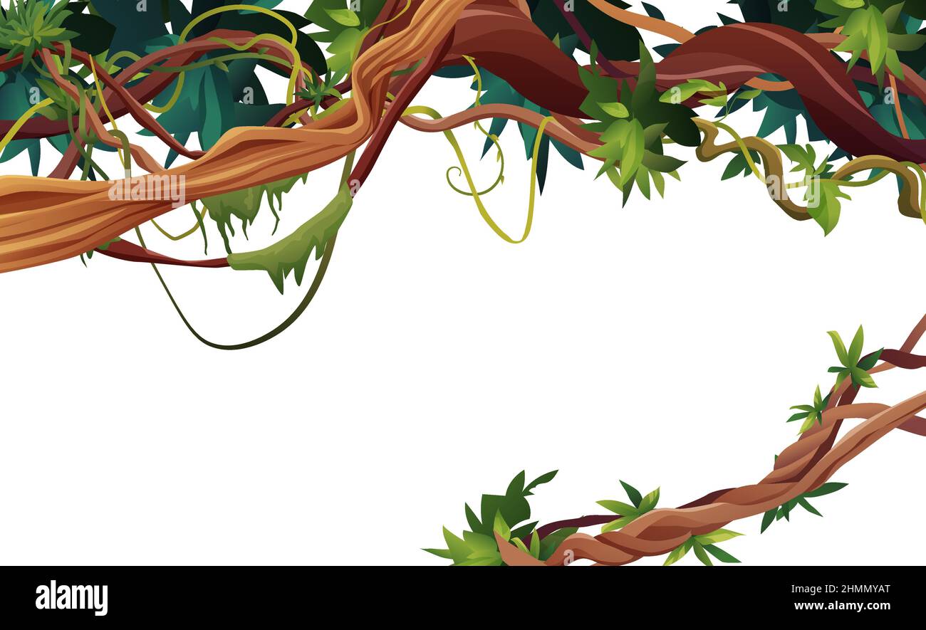 Liana or vine winding branches Stock Vector Image & Art - Alamy