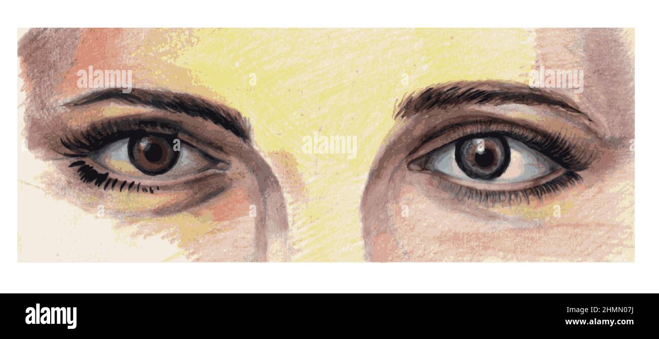 Evolution of the eye Cut Out Stock Images & Pictures - Alamy