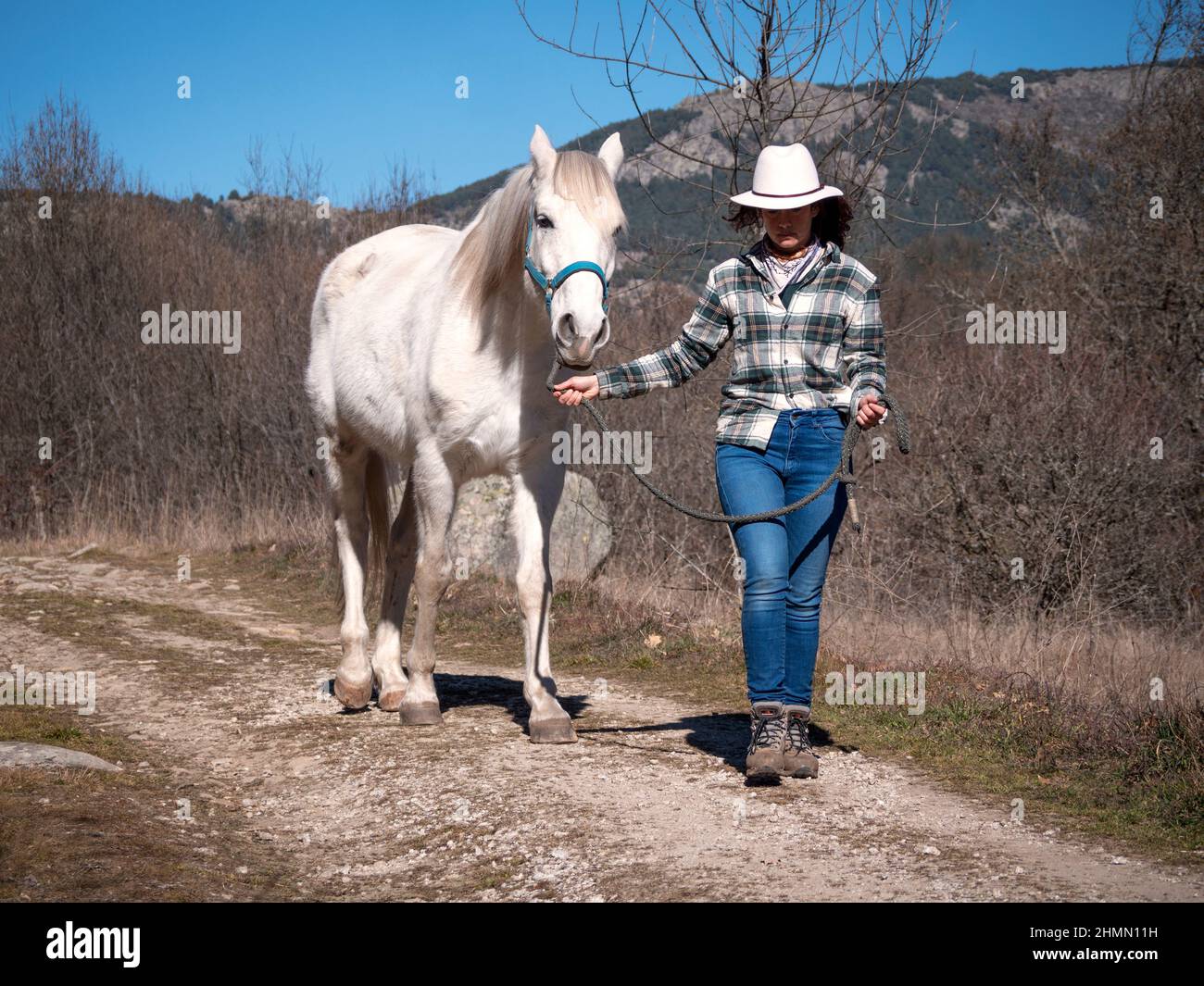 Female horse rider walking her white andalusian horse to the river ...