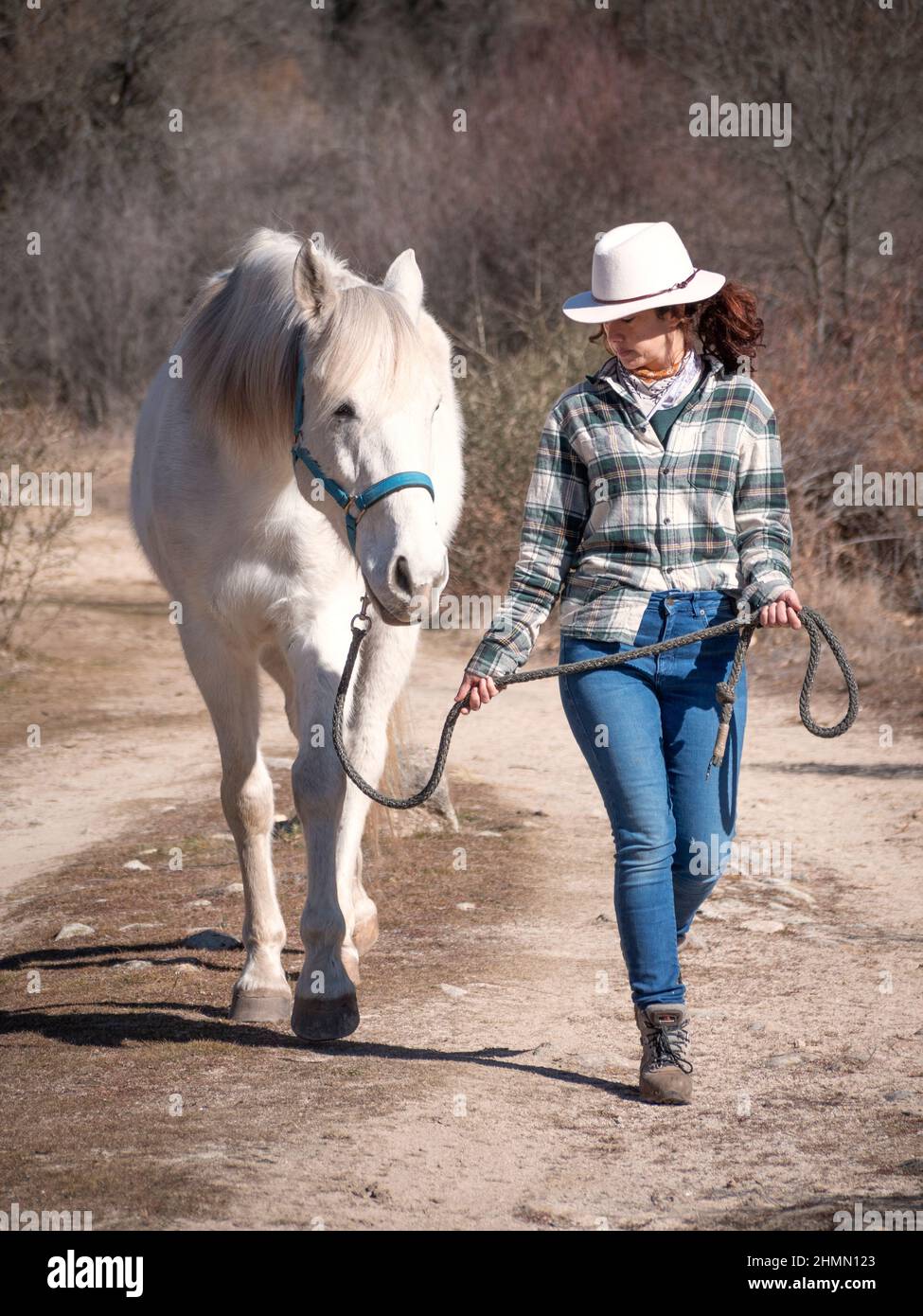 Vertical view of female horse rider walking her white andalusian horse ...