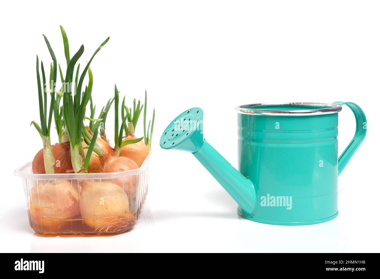 Watering can and spring onions at home on a white background Stock ...