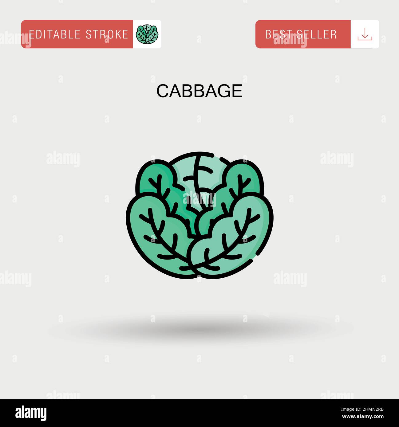 Green cabbage white background Stock Vector Images - Alamy