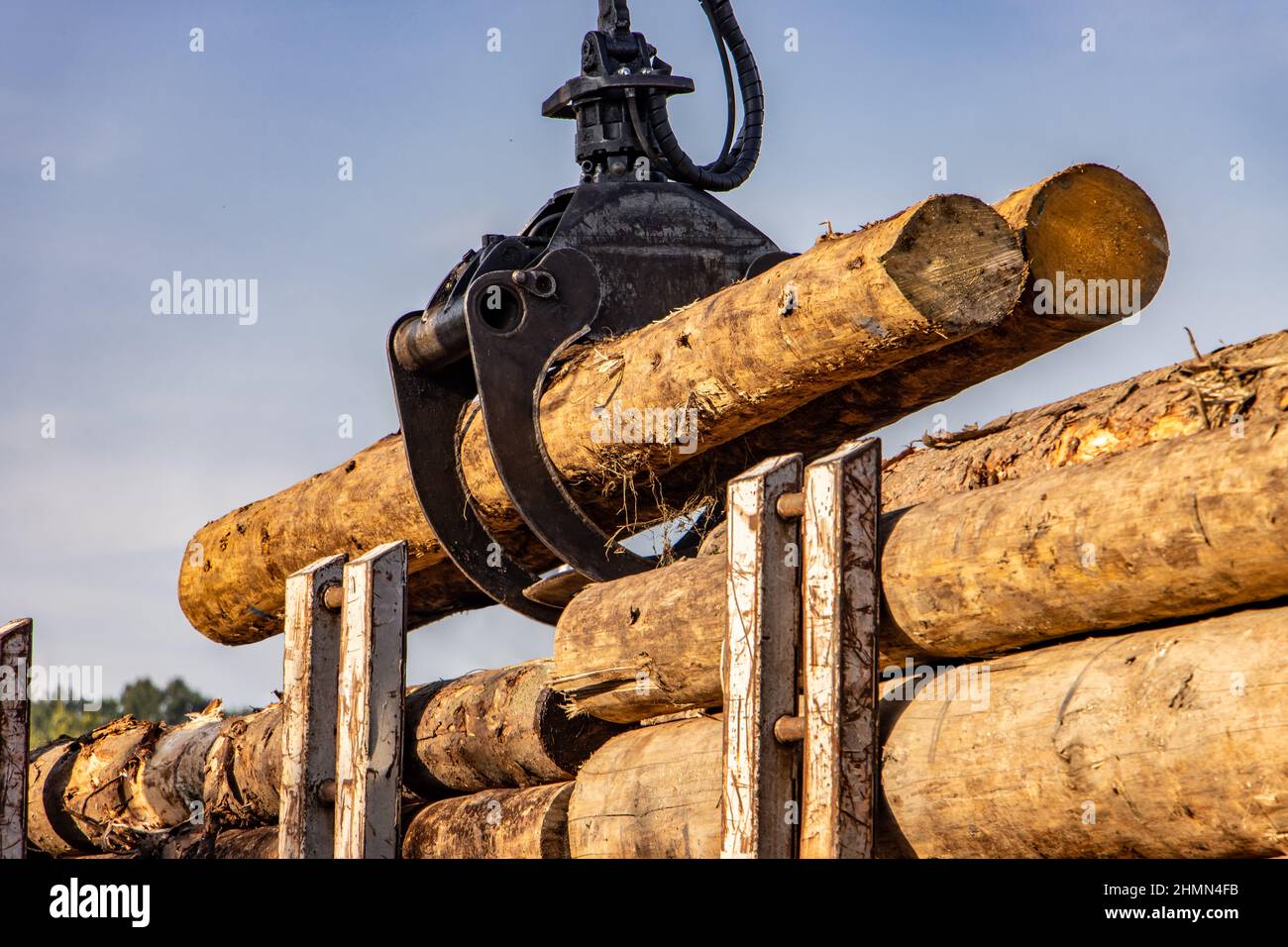 A crane with jaws loads trunks of tree into wagons Stock Photo - Alamy