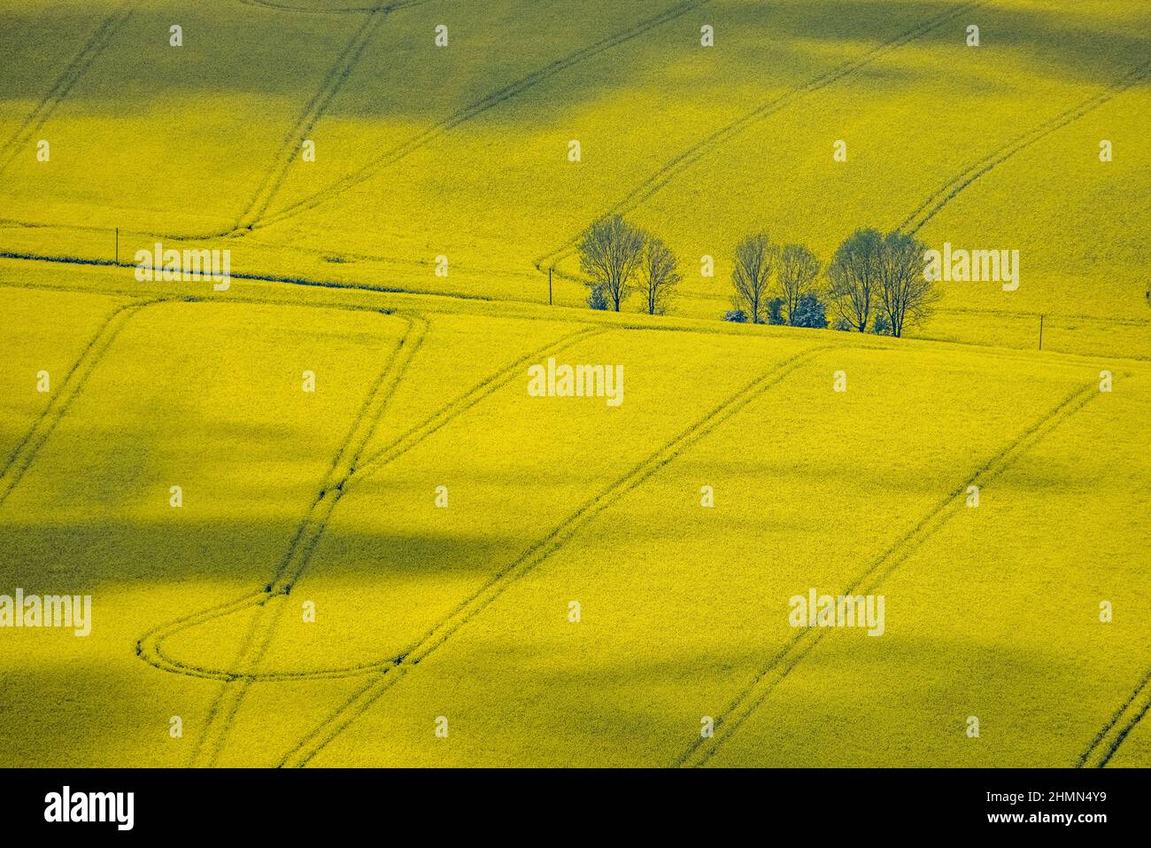 Aerial view, rape fields Heidestraße corner Dümgesweg, Leubeck ...