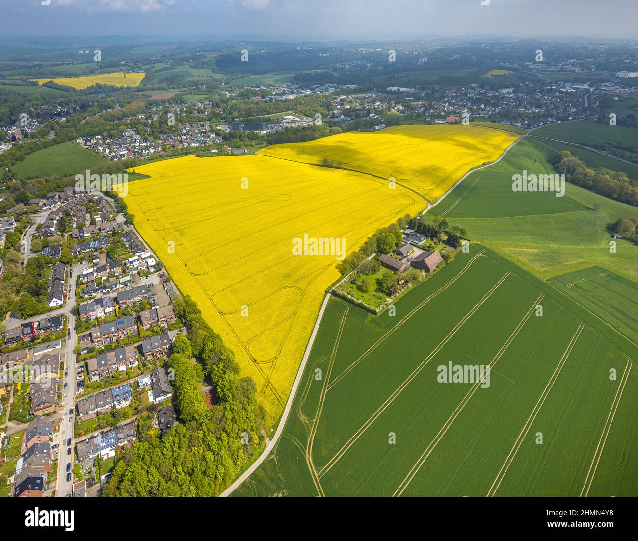 Aerial view, rape fields Heidestraße corner Dümgesweg, Leubeck ...