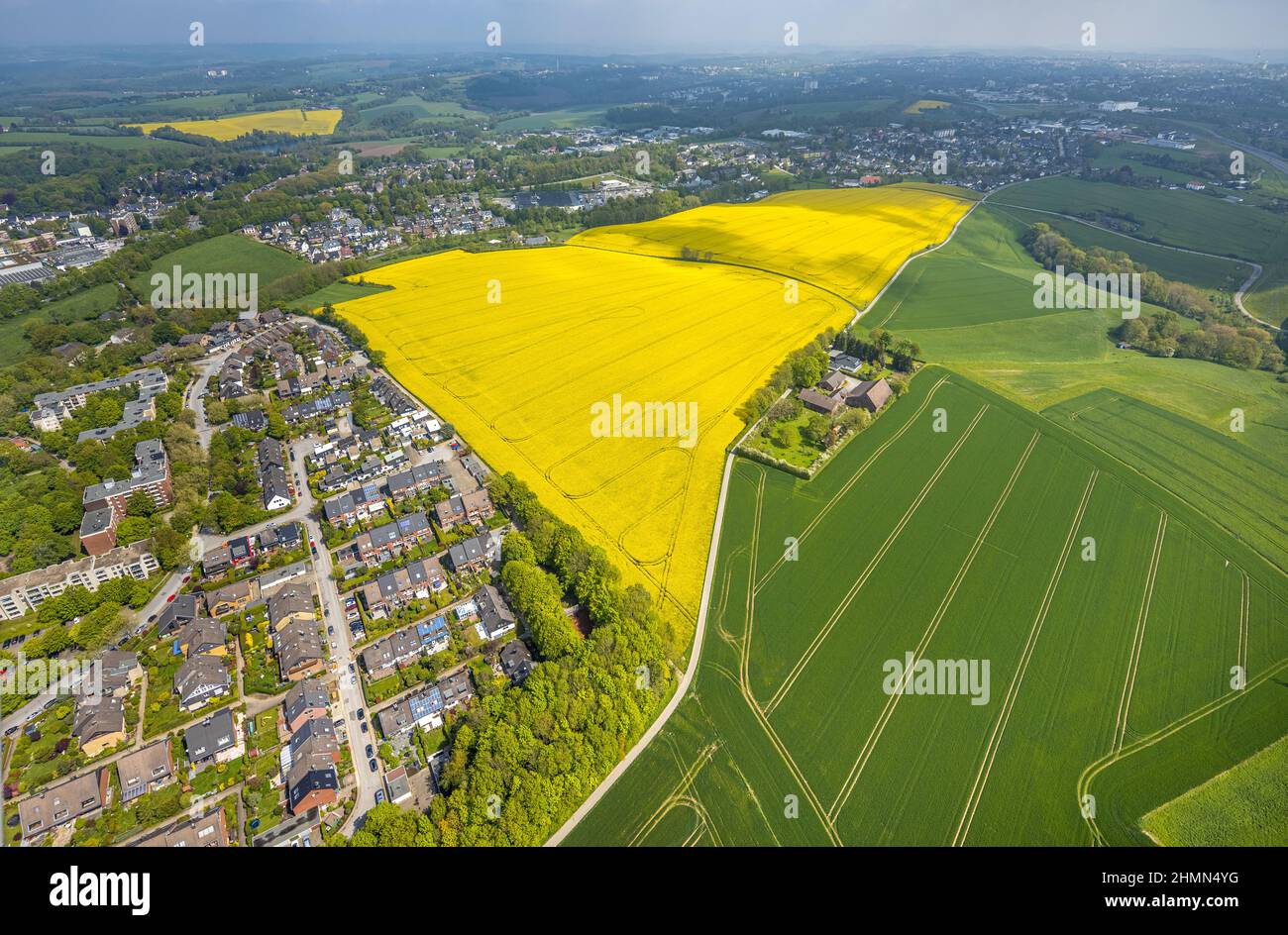 Aerial view, rape fields Heidestraße corner Dümgesweg, Leubeck ...