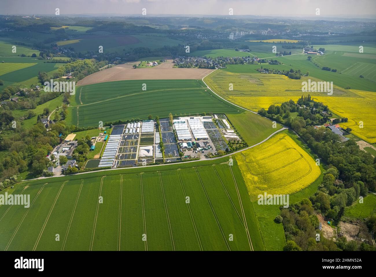 Container nursery and perennials kunz hi-res stock photography and ...