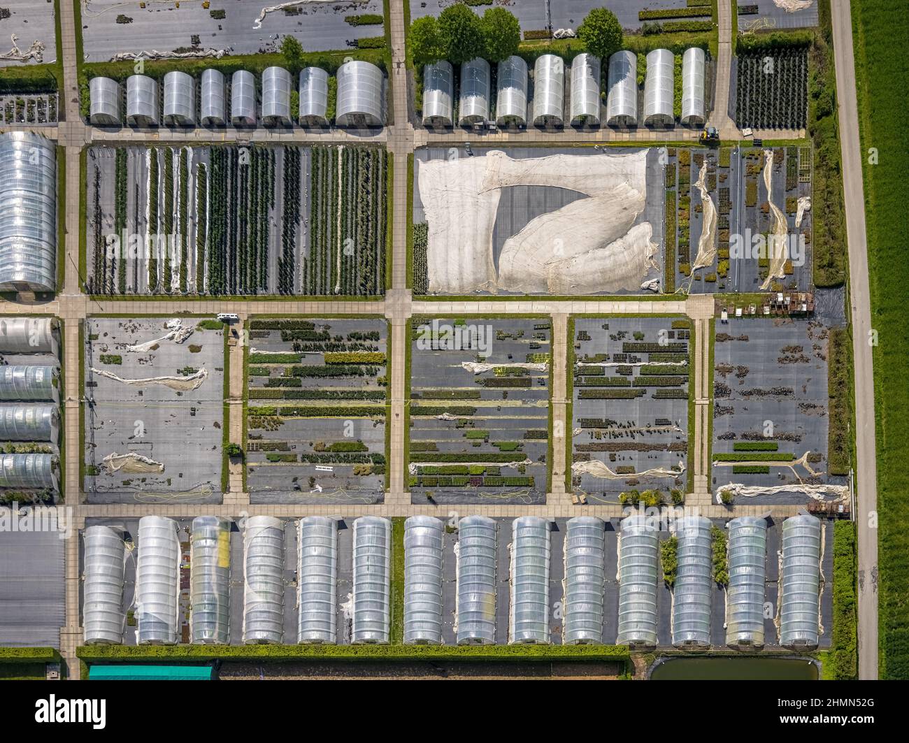 Containerbaumschule und stauden kunz hi-res stock photography and ...