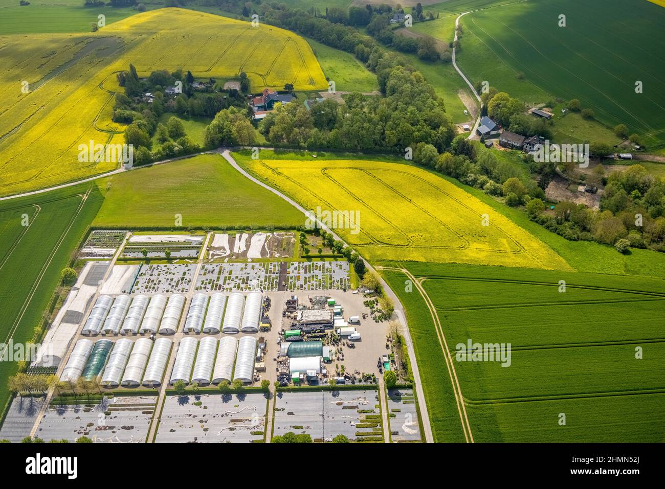 Containerbaumschule und stauden kunz hi-res stock photography and ...