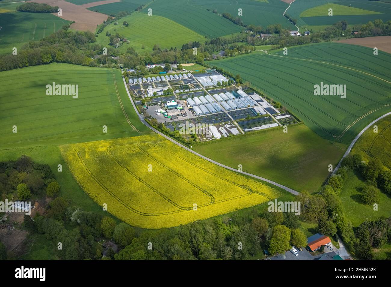 Containerbaumschule und stauden kunz hi-res stock photography and ...