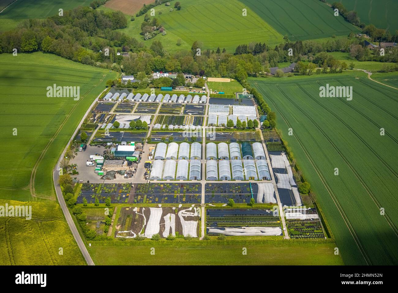 Container nursery and perennials kunz hi-res stock photography and ...