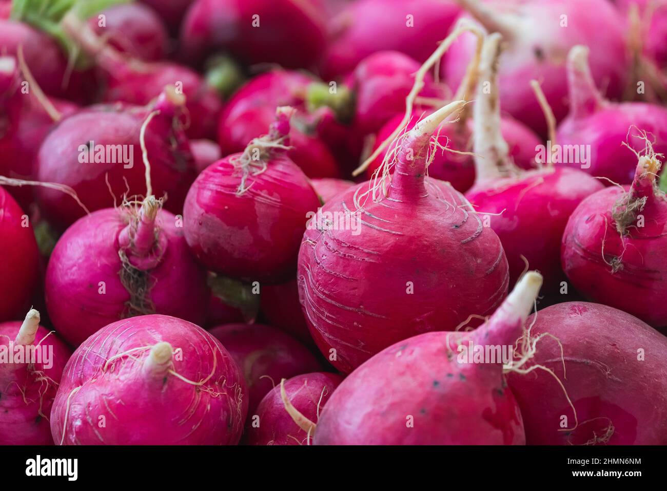 Fresh organic green radish on fresh market, background. radish texture ...