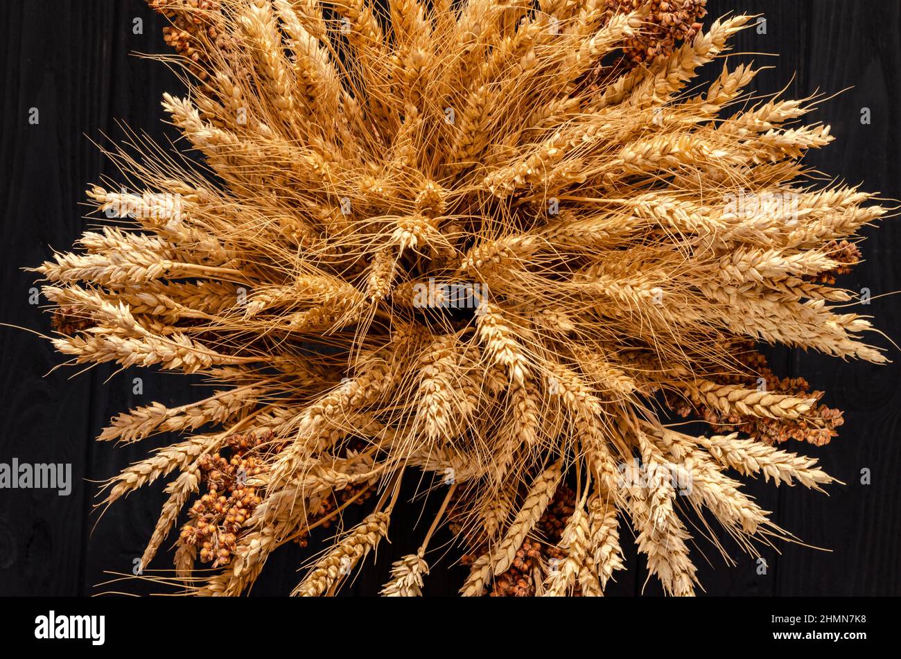 Bunch of ripe cereal. Mix of wheat ears, rye, barley and oats on black ...