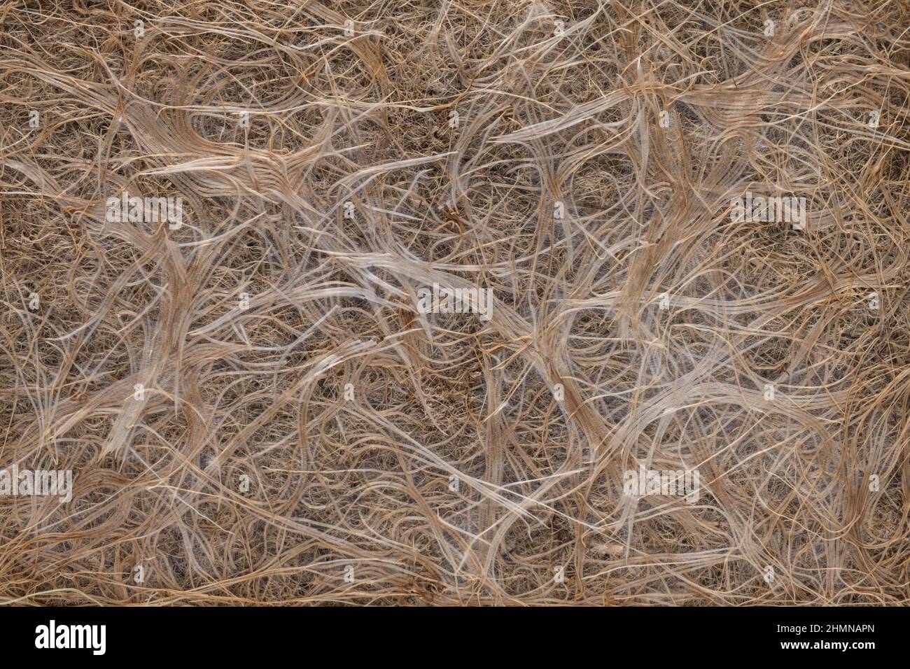 Close up of the bottom underside of a rearing mat overgrown with plant ...